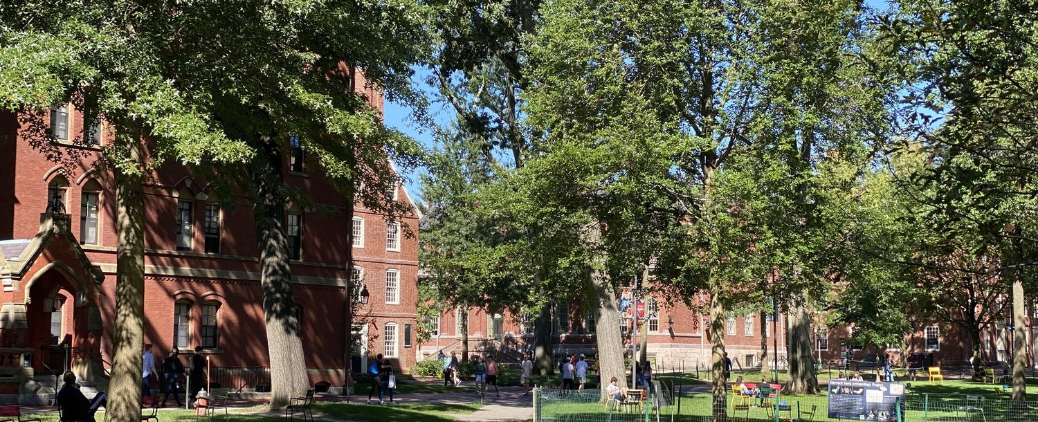 First Semester at Harvard: 3 Things I Learned | Harvard