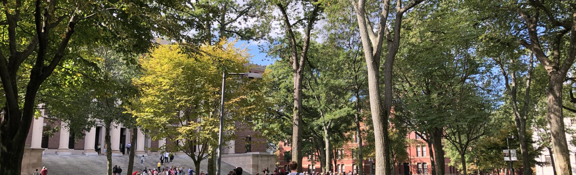 Hidden Jewels: My Favorite Study Spots (Part 1) | Harvard