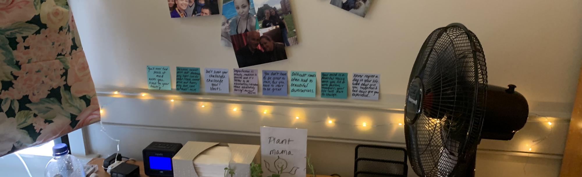 How To Explore Multiple Academic Interests | Harvard