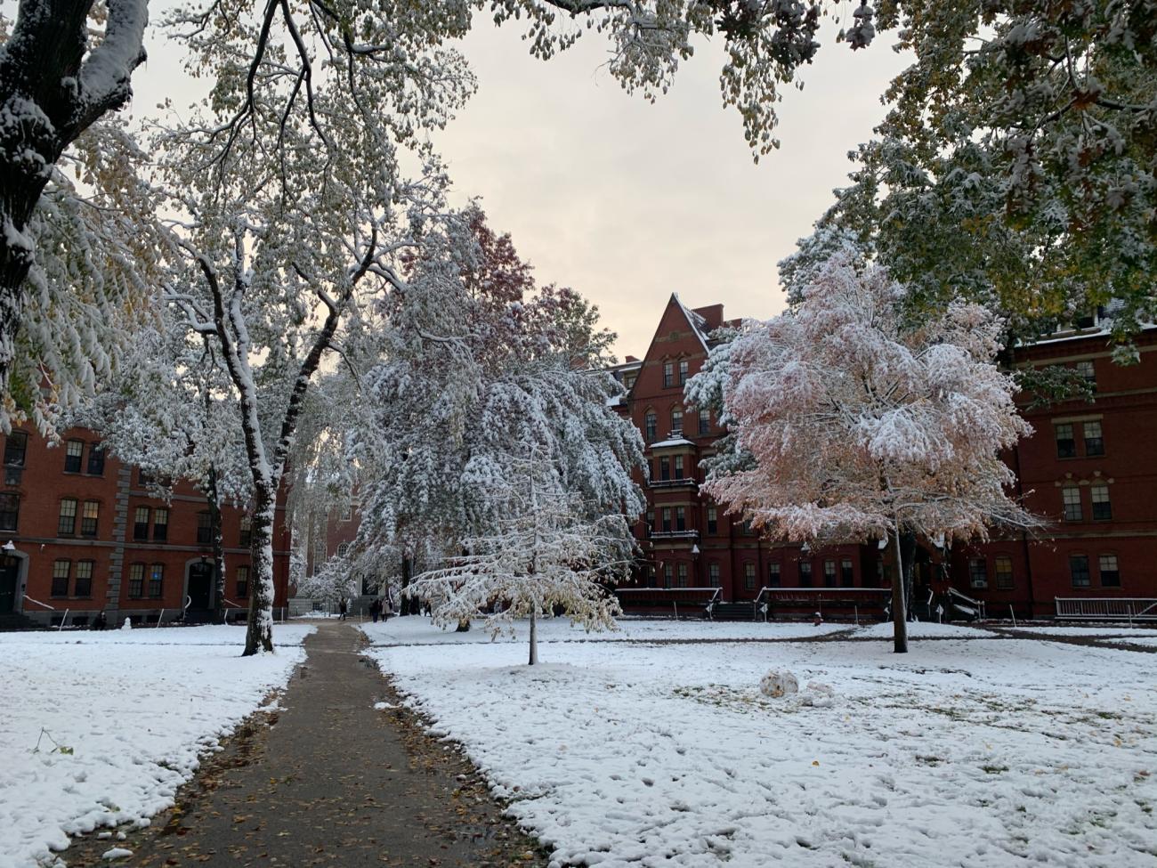 A Texan’s Guide to Surviving a Cambridge Winter | Harvard