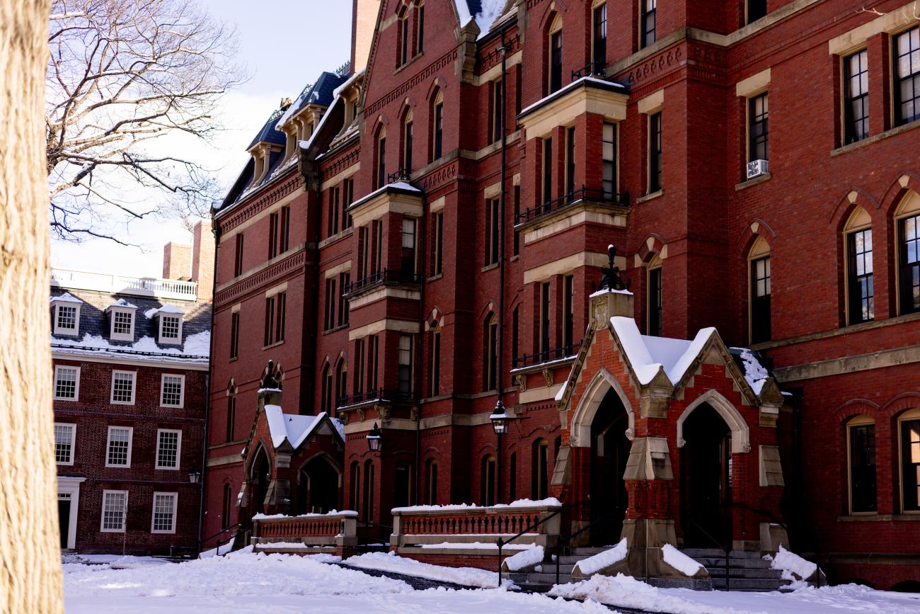 How to Survive a Massachusetts Winter | Harvard