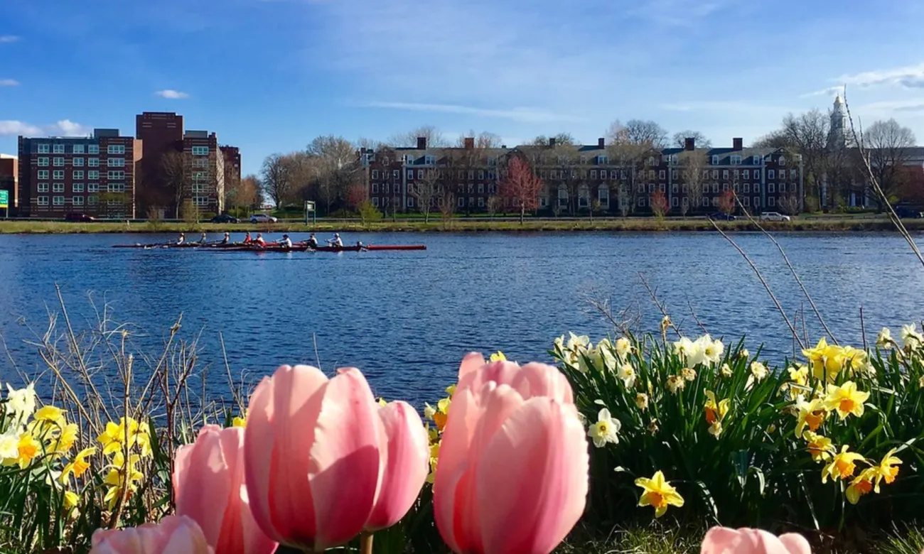 A Remarkable Year of Achievement at Harvard College | Harvard