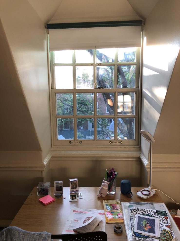 Hidden Jewels: My Favorite Study Spots (Part 1) | Harvard