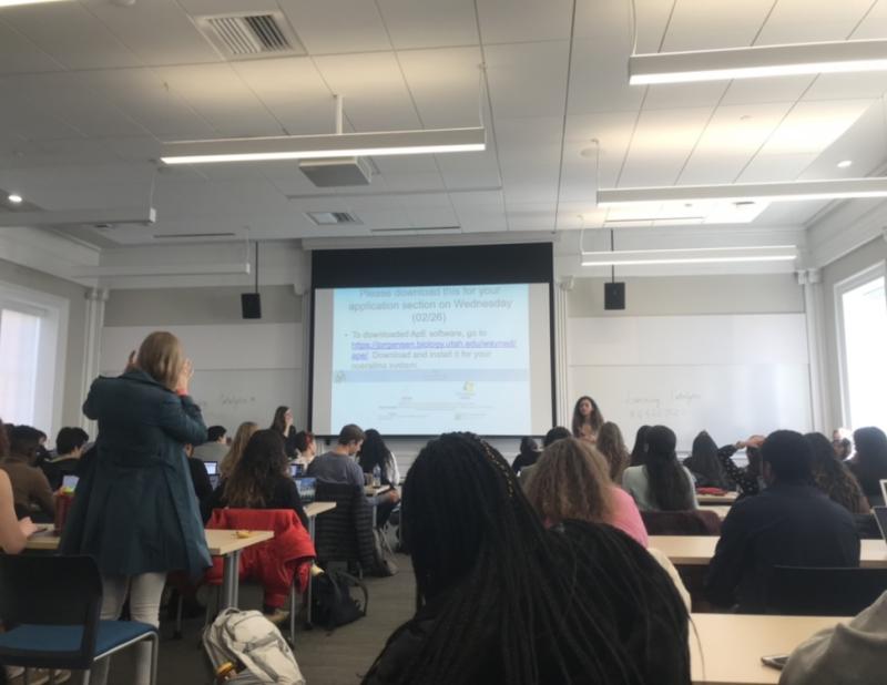 My Top 7 Favorite Courses | Harvard