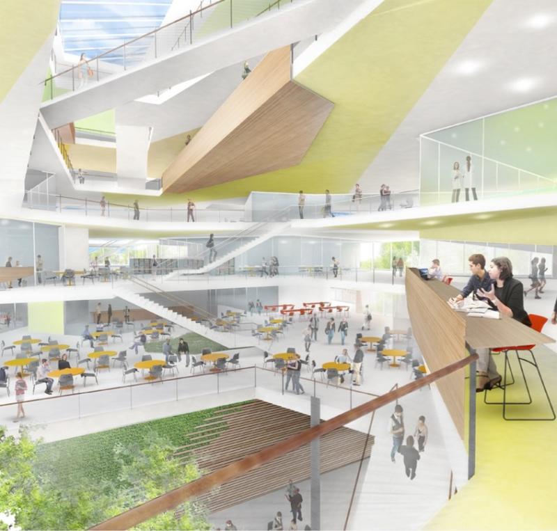 My Favorite Study Spots On Campus | Harvard