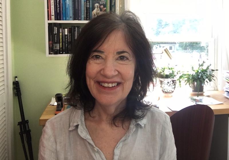 Faculty Spotlights | Harvard College