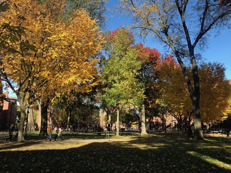 Spontaneity or Serendipity?: A Recap of My Fall Semester | Harvard