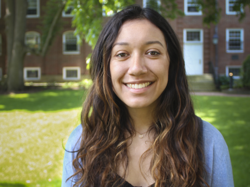 Tips for Exploring Outside the City in the Summer | Harvard