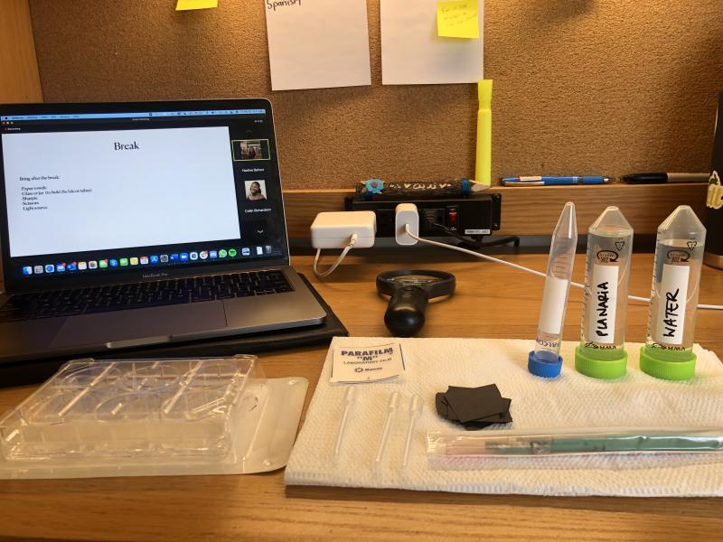 Research During COVID-19 | Harvard